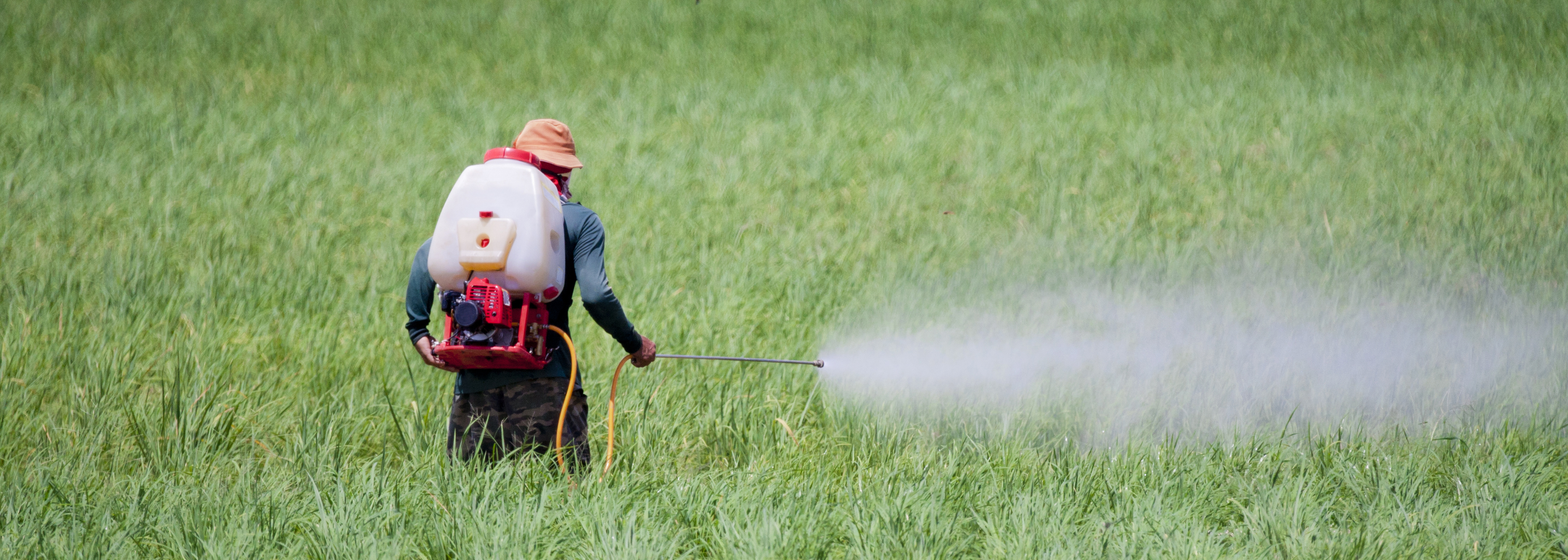 Label AB : confiance ébranlée | GLOBAL magazine